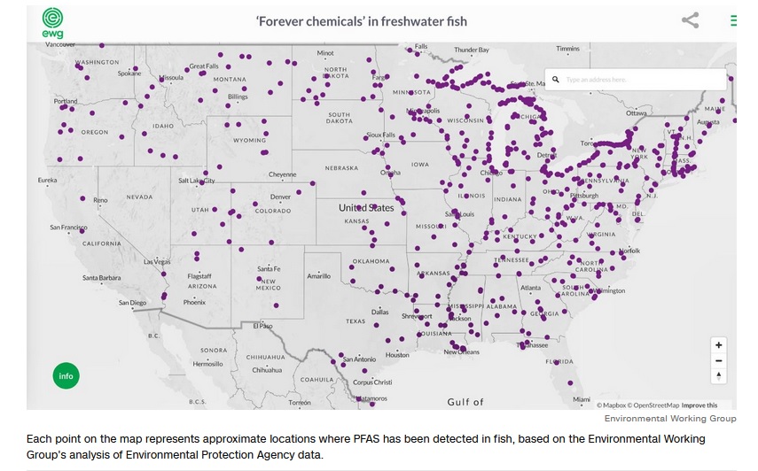 Excessive PFAS Levels in Freshwater Fish – Chemical Free Life